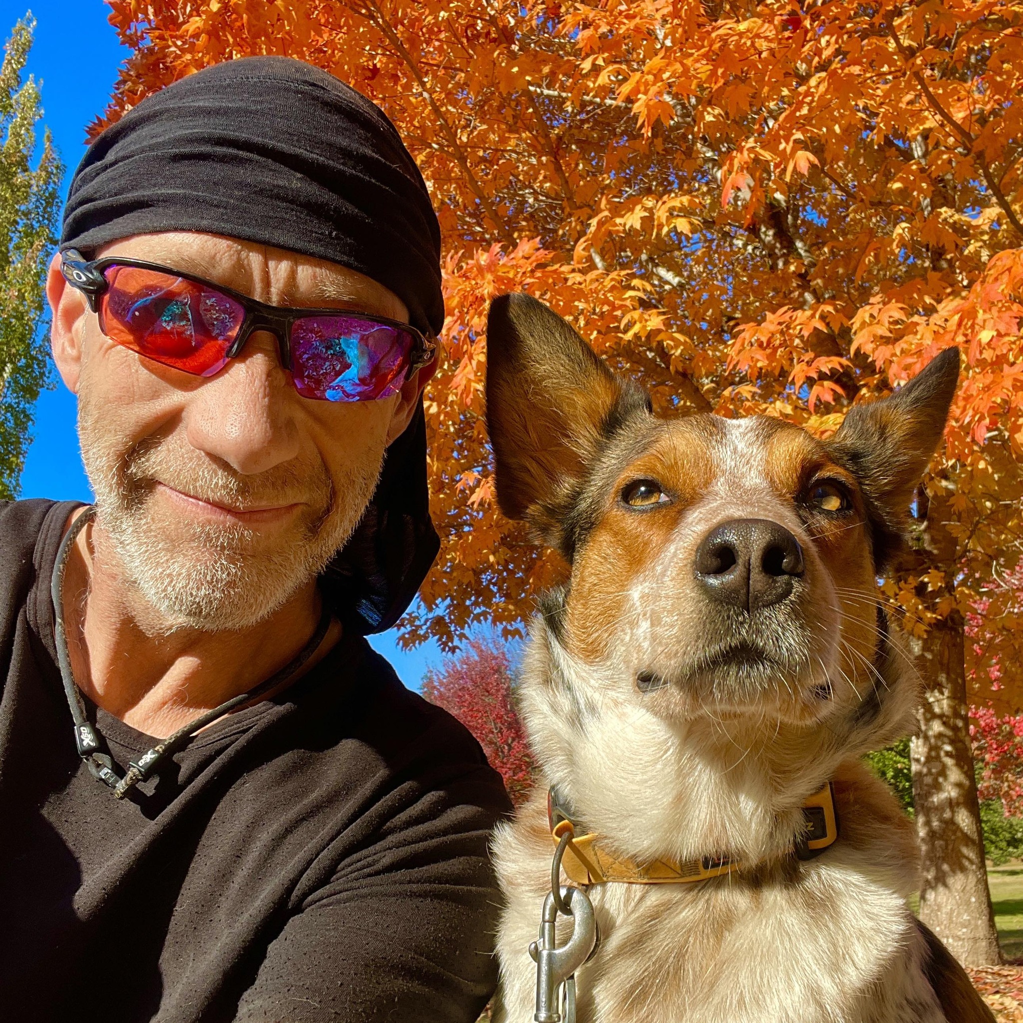 Doug Clement, VHS 1980 Night Photographer - Victoria High School Alumni ...